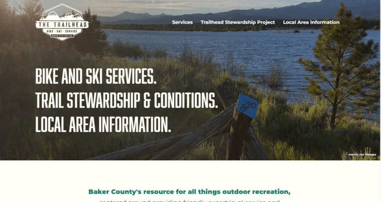 30 Services Website Examples You Want to Steal - Cyphon